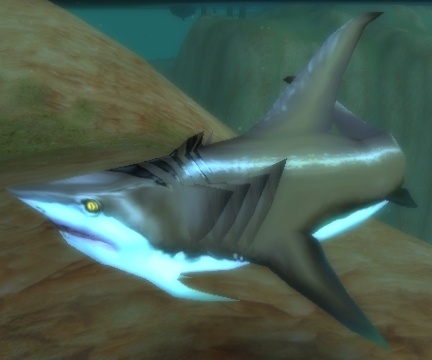 Tiburón De Arena
