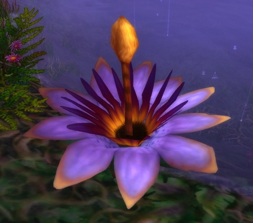 Moonpetal Lily - Item - World of Warcraft