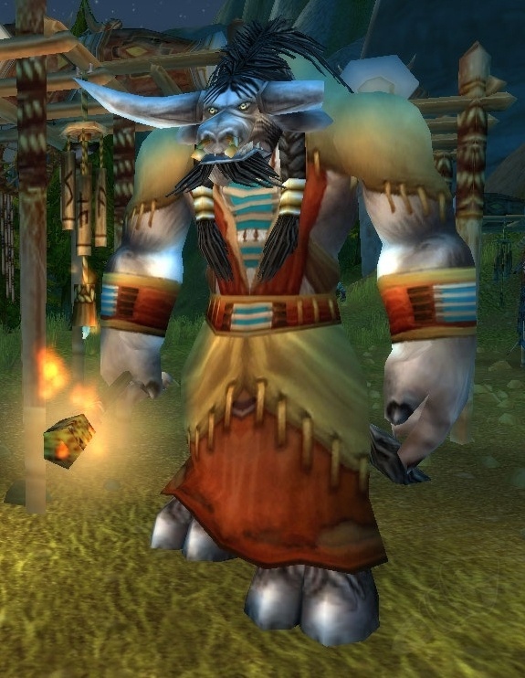 Archidruide Hamuul Totem-Runique - PNJ - World of Warcraft