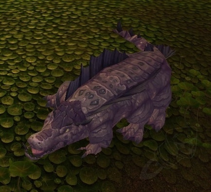 Crocolisco de oasis - PNJ - World of Warcraft