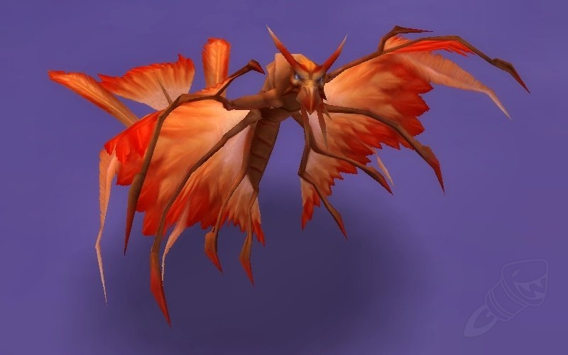 Golden Dragonhawk Hatchling - Item - TBC Classic