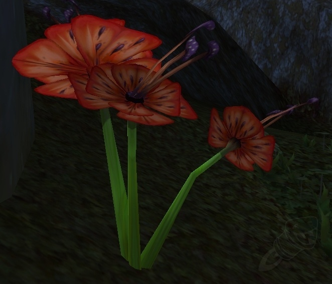 Tiger Lily - Object - Cataclysm Classic