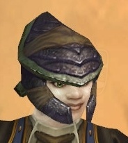 Ravenholdt Hood - Item - World of Warcraft