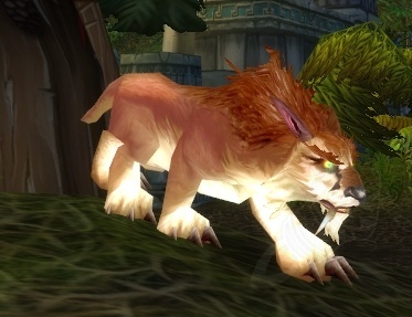 Amani Lynx Cub - NPC - World of Warcraft
