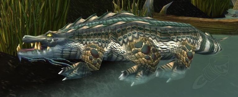 Amani Crocolisk - NPC - World of Warcraft