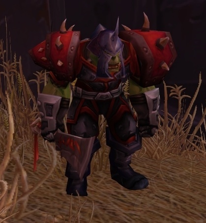 Desolation Guard - NPC - World of Warcraft