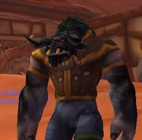 Guardian Armor - Item - Classic World of Warcraft