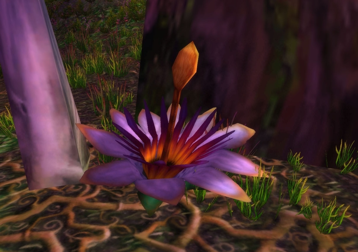 Moonpetal Lily - Object - Mists of Pandaria Classic