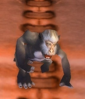 Mico - PNJ - World of Warcraft