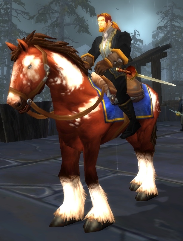 Prince Liam Greymane - NPC - World of Warcraft