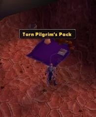 Torn Pilgrim's Pack - Object - WotLK Classic