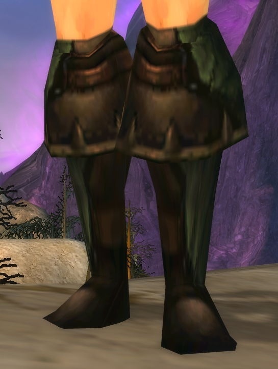 Bloodied Wyrmhide Boots - Item - World of Warcraft