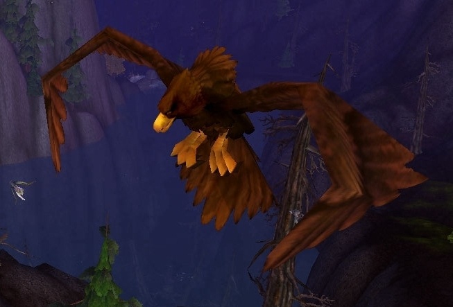 Goldwing Hawk - NPC - World of Warcraft