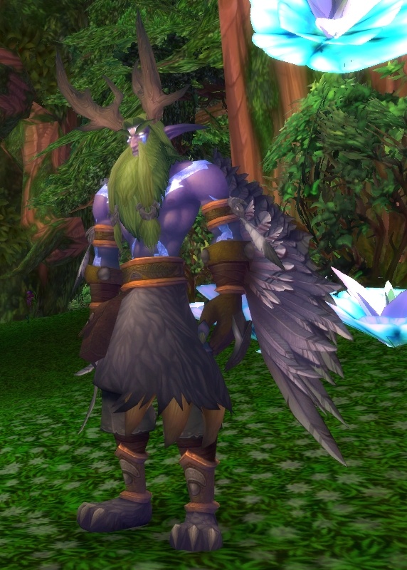 Malfurion Stormrage - NPC - World of Warcraft