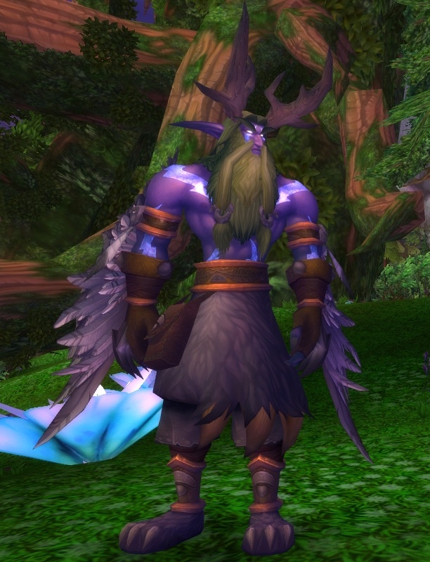 Malfurion Stormrage - NPC - World of Warcraft