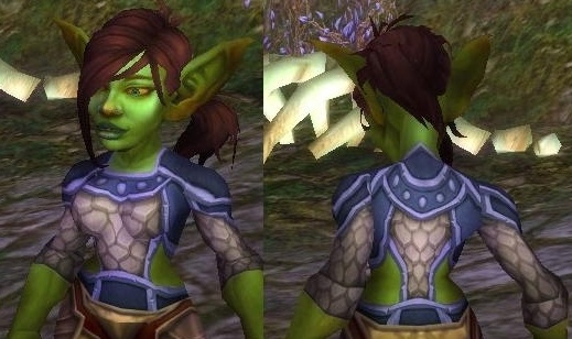 Rugged Mail Vest - Item - Mists of Pandaria Classic