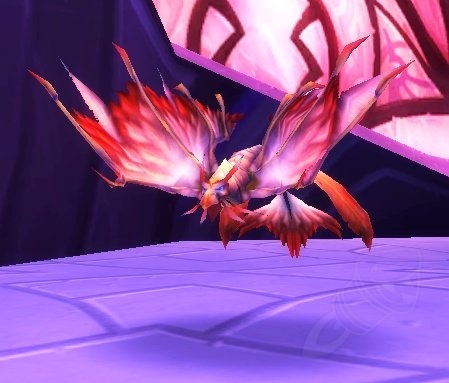 Bloodfalcon - NPC - World of Warcraft