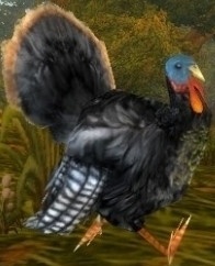 Polymorph - Spell - World of Warcraft