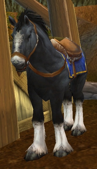 Black Stallion - NPC - Cataclysm Classic