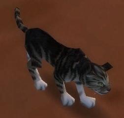 Gato atigrado negro - Hechizo - World of Warcraft