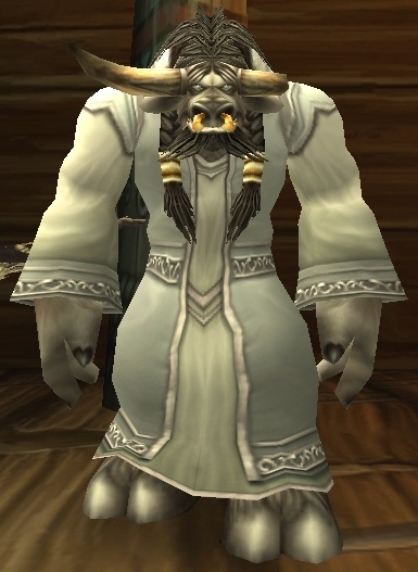 Waterbearer's Robes - Item - World of Warcraft