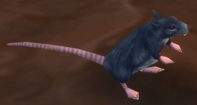 Giant Sewer Rat - Spell - World of Warcraft