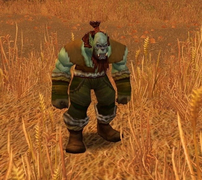 Balgor Azotaespinillas - PNJ - World of Warcraft