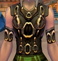 Wicked Leather Armor - Item - World of Warcraft