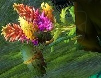 Beautiful Wildflowers - Item - World of Warcraft