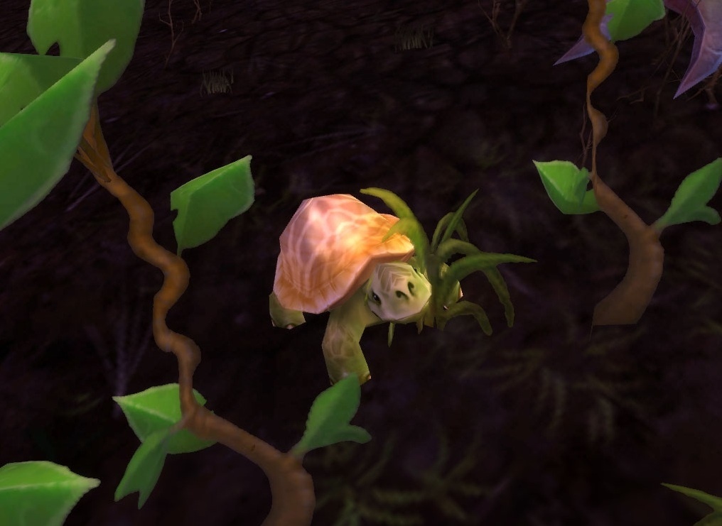 Child of Tortolla - NPC - World of Warcraft