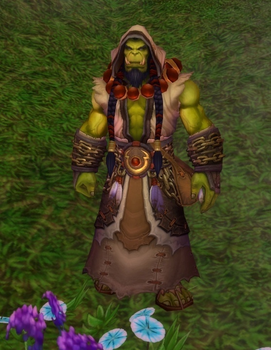 The Call of the World-Shaman - Quest - World of Warcraft
