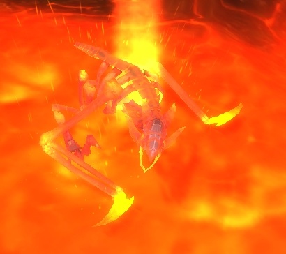 Fire Hawk Hatchling - NPC - World of Warcraft