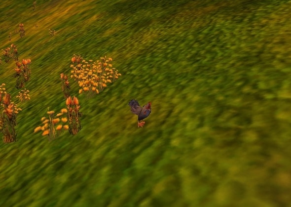 "Plucky" Resumes Chicken Form - Spell - World of Warcraft