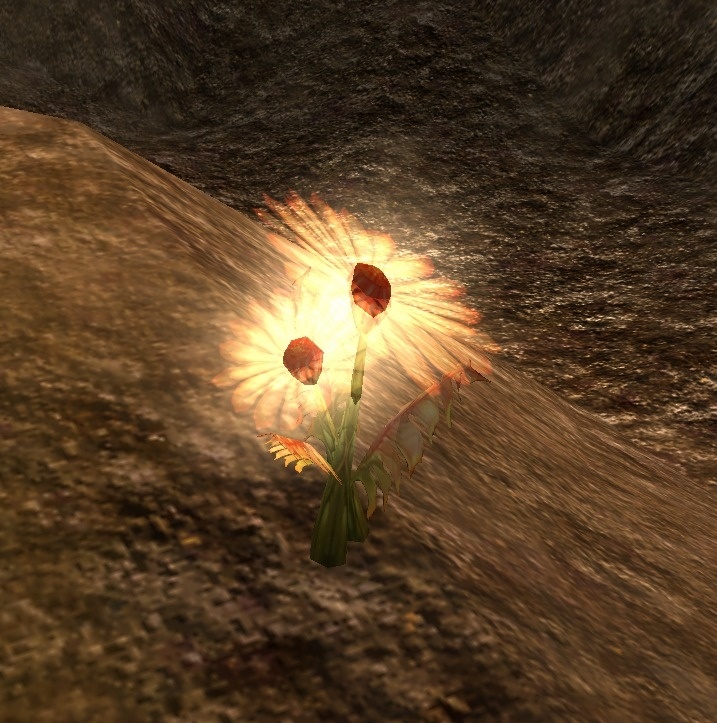 Gloria de ensueño - Objeto - [Cataclysm Classic]