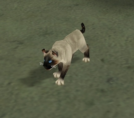 Funafuti - NPC - World of Warcraft