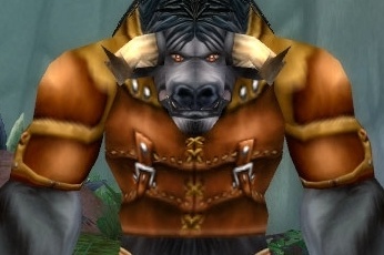 Vest of Fortune - Item - World of Warcraft