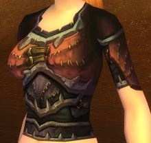 Sly Fox Jerkin - Item - World of Warcraft