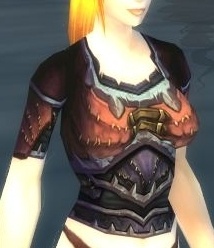 Bloodthirsty Leather Chest - Item - World of Warcraft