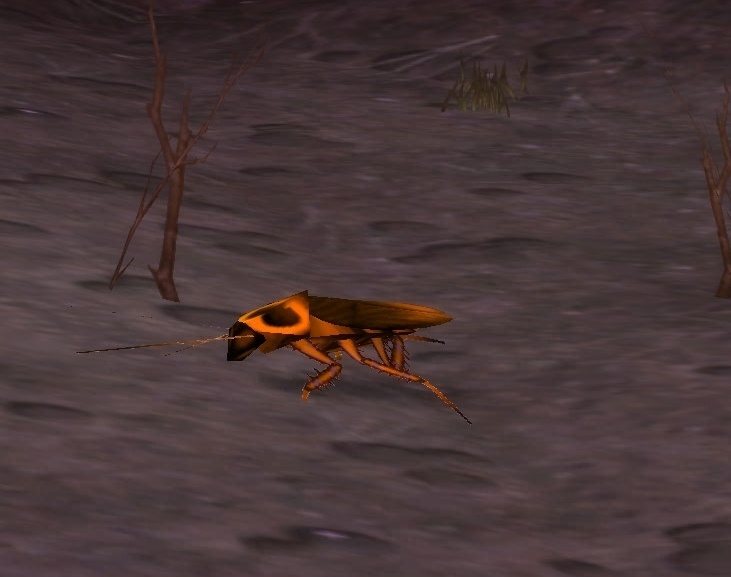 Fire-Proof Roach - NPC - Cataclysm Classic