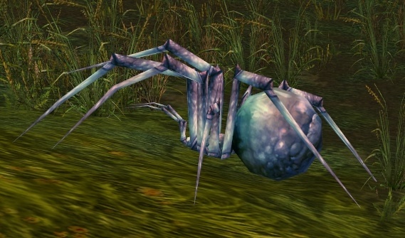 Venom Web Spider - NPC - World of Warcraft