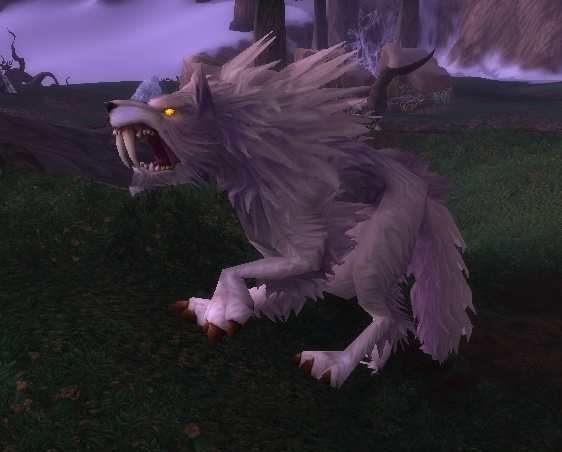 Alpha Worg - Quest - World of Warcraft