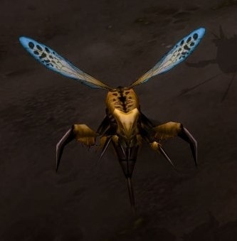 Hive'Zora Wasp - NPC - Mists of Pandaria Classic