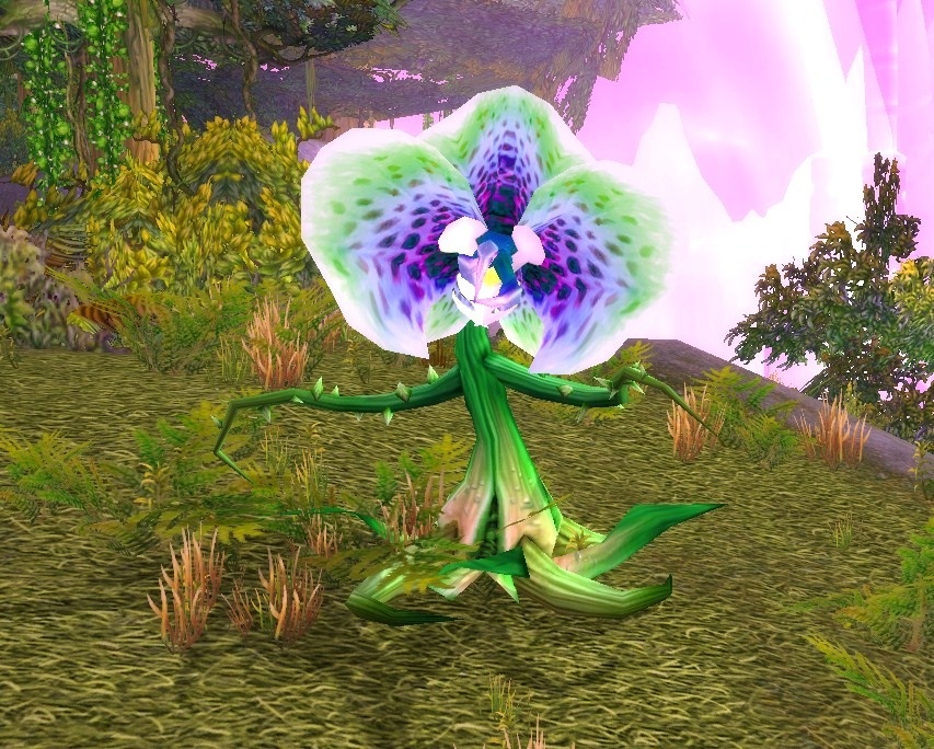 Farahlon Lasher - NPC - World of Warcraft
