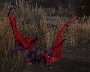 Bat Costume - Spell - World of Warcraft