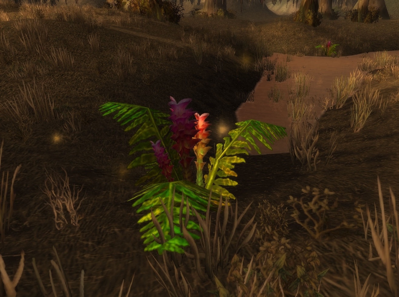 The Witch's Bane - Quest - World of Warcraft