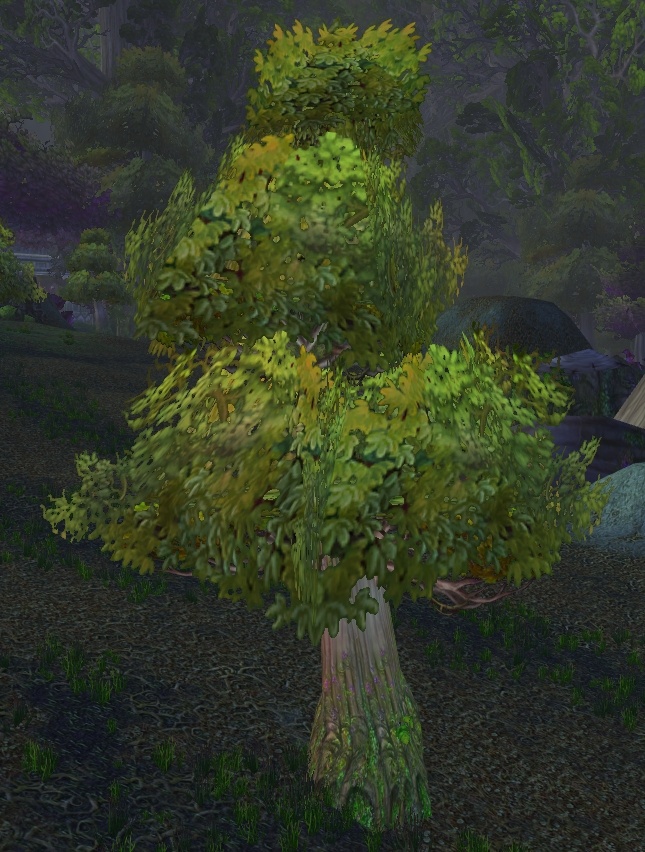 Ashenvale Oak - NPC - World of Warcraft