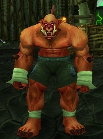 Dragonmaw Pitfighter - NPC - WotLK Classic