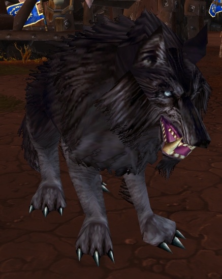 Black Wolf - NPC - World of Warcraft