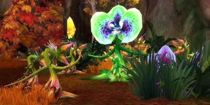 Guardian Lasher - NPC - World of Warcraft