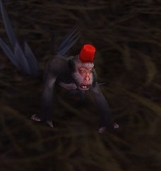 Darkmoon Monkey - Spell - World of Warcraft